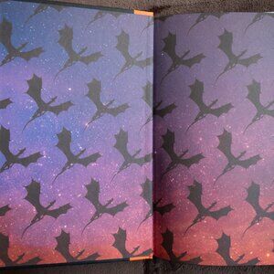 BOOKS | Other | New A Fire In The Sky By Sophie Jordan Deluxe Edition ...